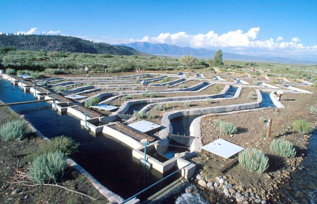 Home - Sierra Nevada Aquatic Research Laboratory
